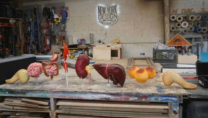 3D printed organs – New York Design and Construction